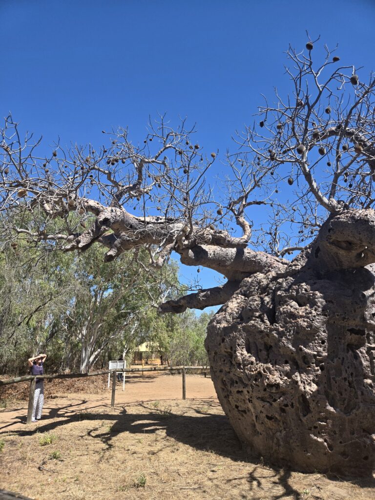 New Developments To Narrow Digital Gap For First Nations Australians